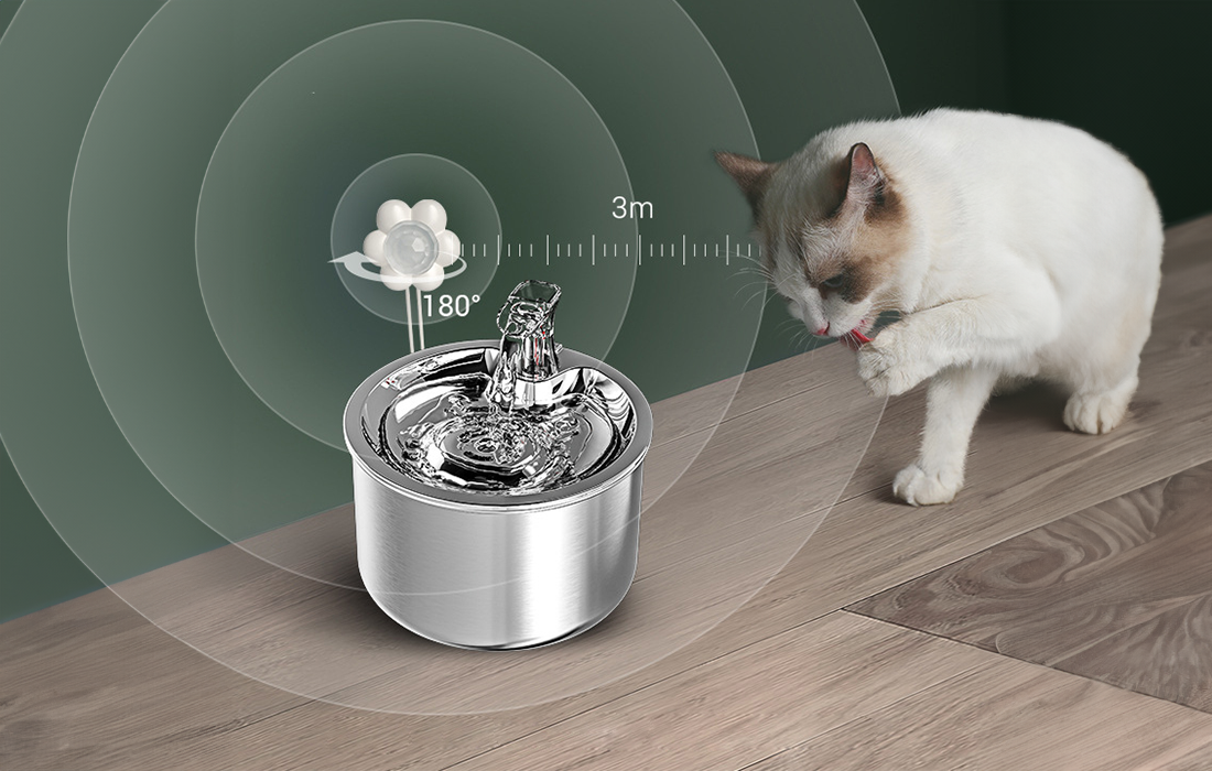 How to Choose a Right Smart Water Dispenser for Your Cats - ODM&OEM ...