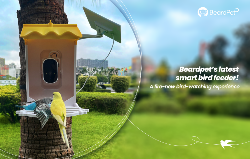 Beardpet’s Smart Bird Feeder BF-02! Fire-new Bird-watching Experience ...