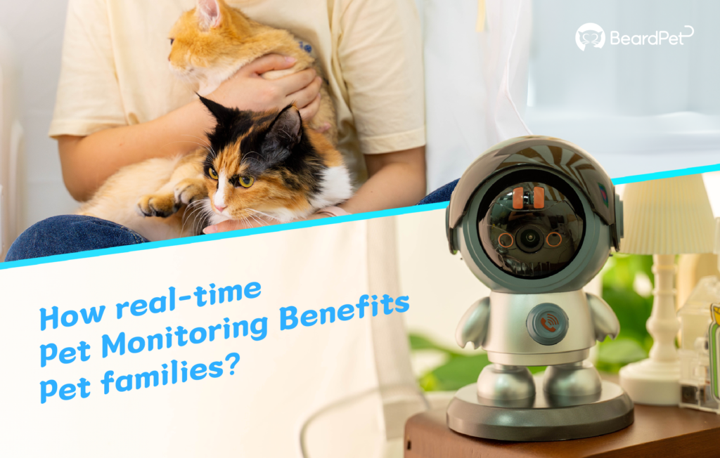 How Real-time Pet Monitoring Benefits Pet Families? - ODM&OEM Smart Pet ...
