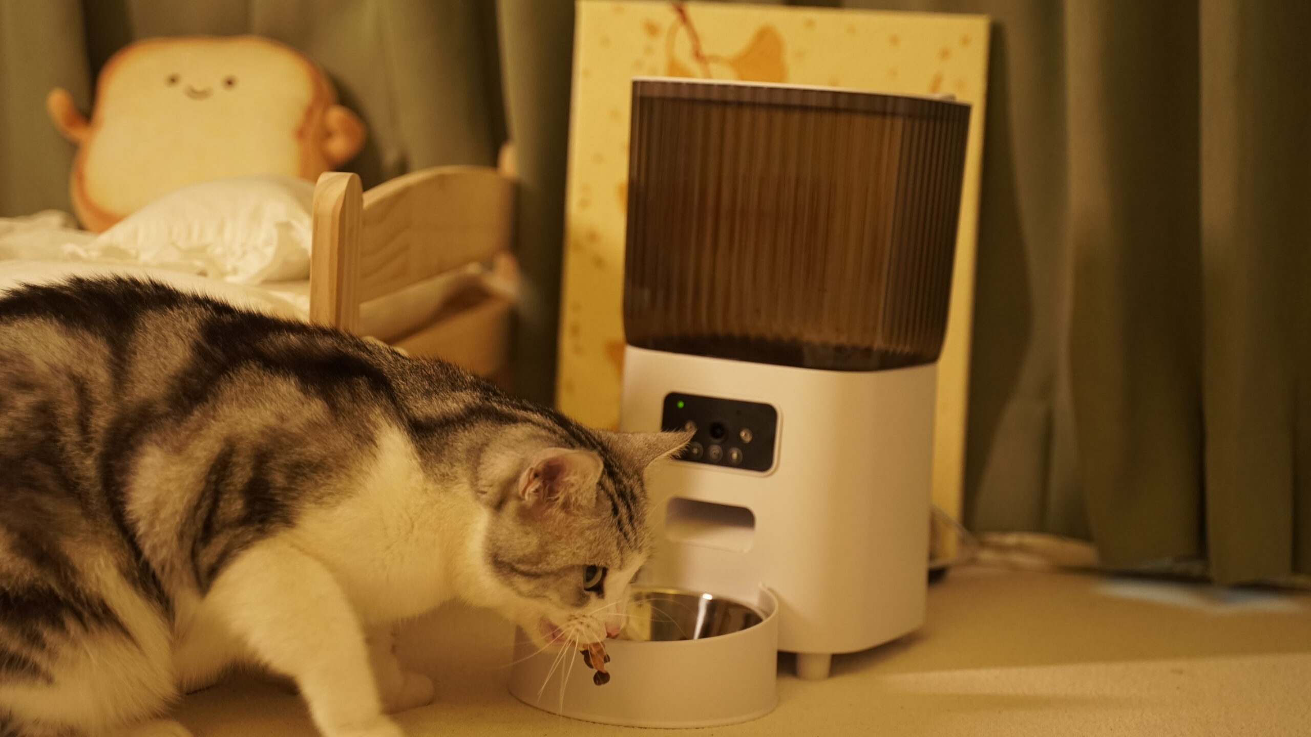 How the Cat Feeder with Camera Transform Your Cat-feeding? - ODM&OEM ...