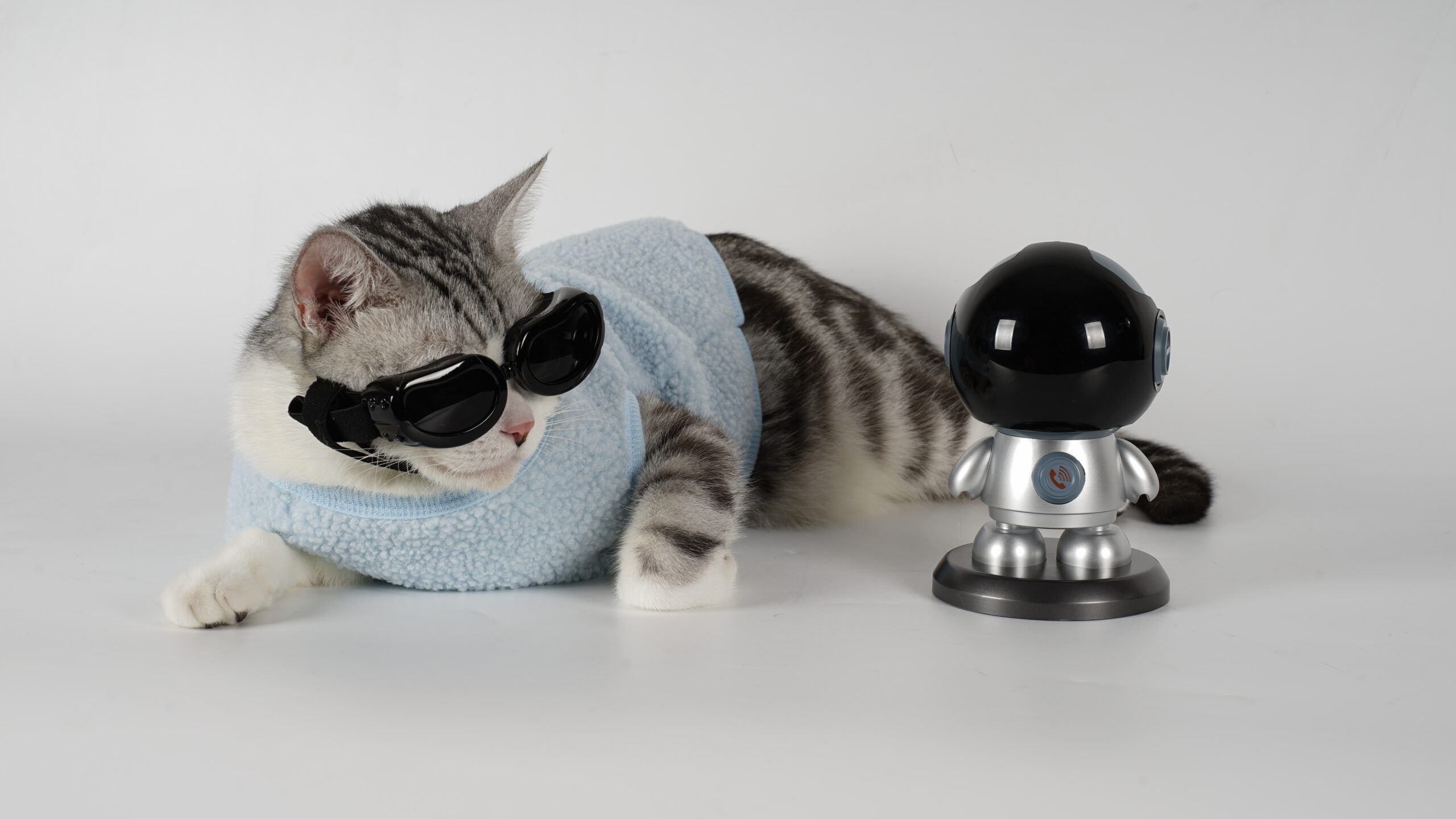 Should You Get a Pet Camera for Your Pets? - ODM&OEM Smart Pet Products ...