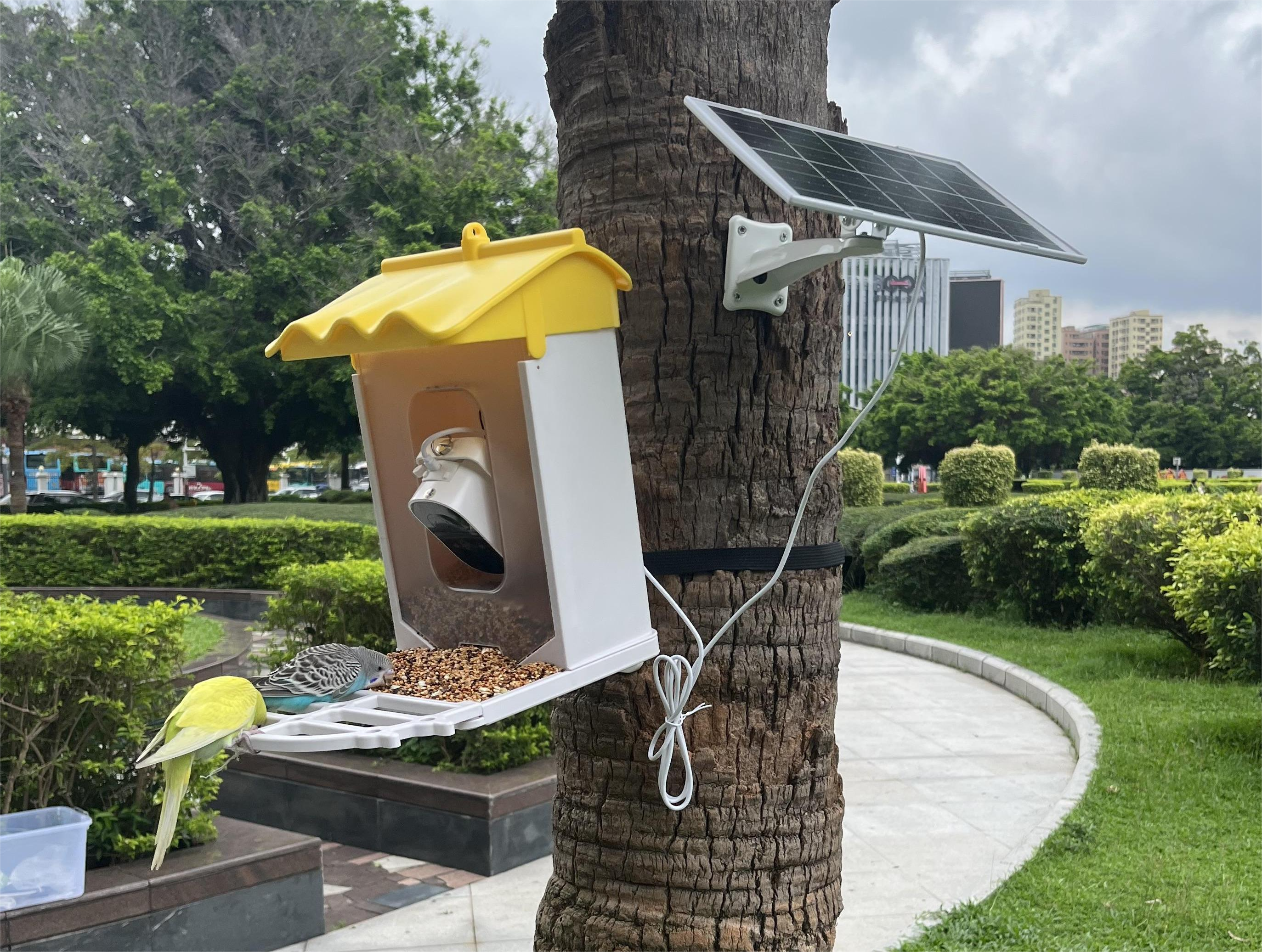 Setting Up Your Smart Bird House: A Simple Guide - ODM&OEM Smart Pet ...