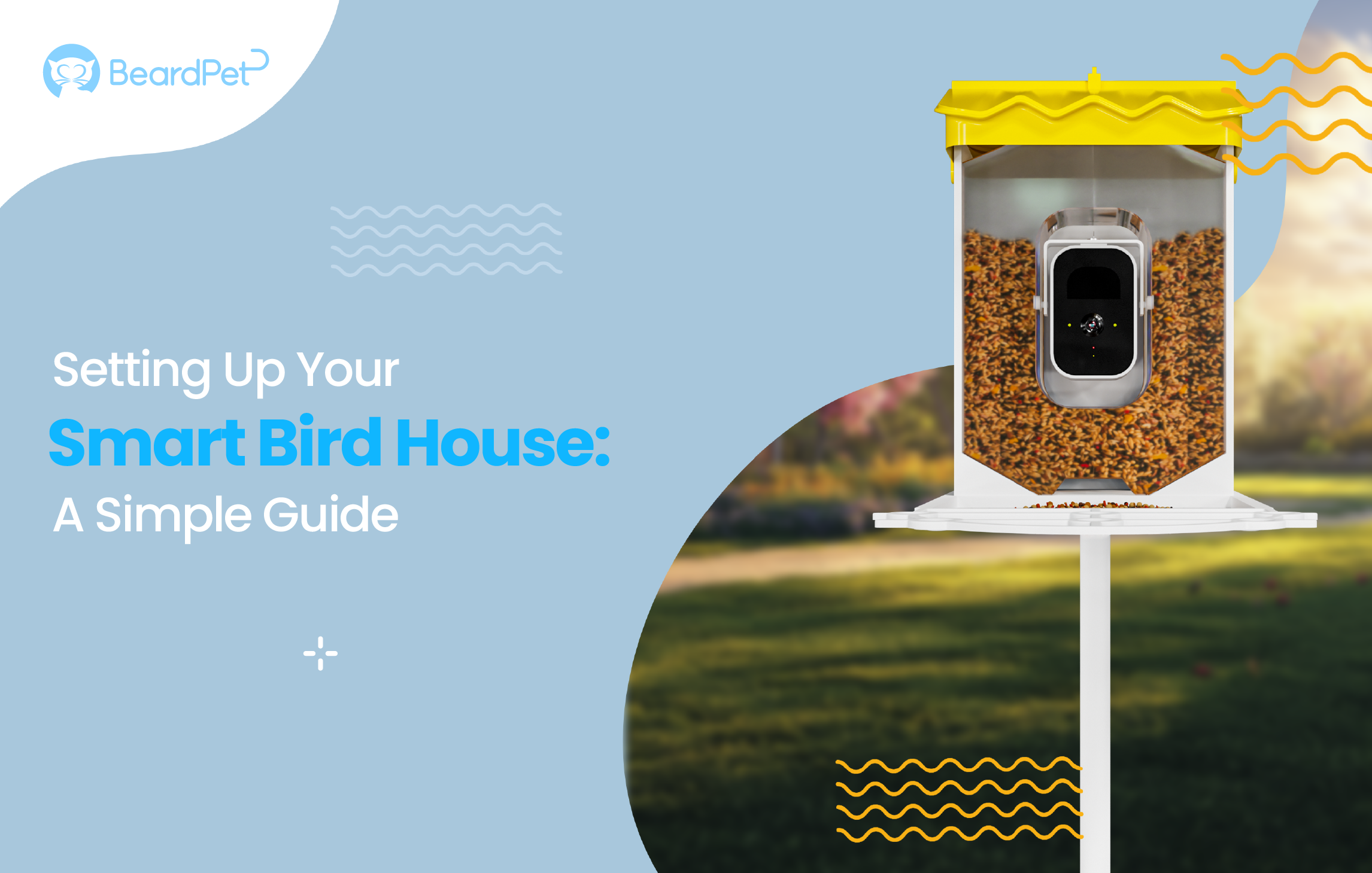 Setting Up Your Smart Bird House: A Simple Guide - ODM&OEM Smart Pet ...
