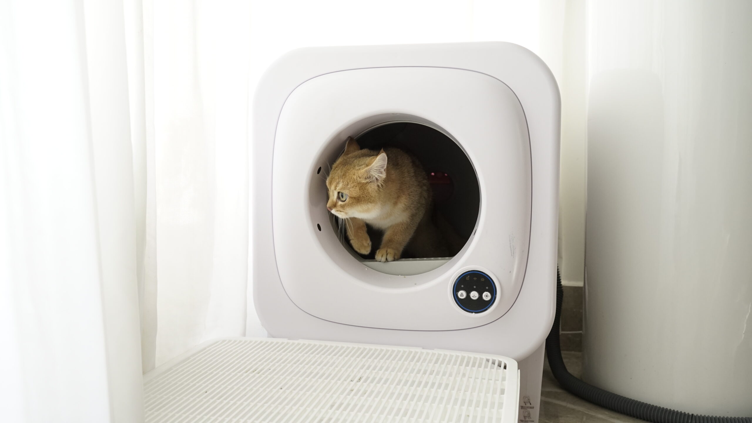 Is the Auto-scooping Cat Box Worth the Price? - ODM&OEM Smart Pet ...
