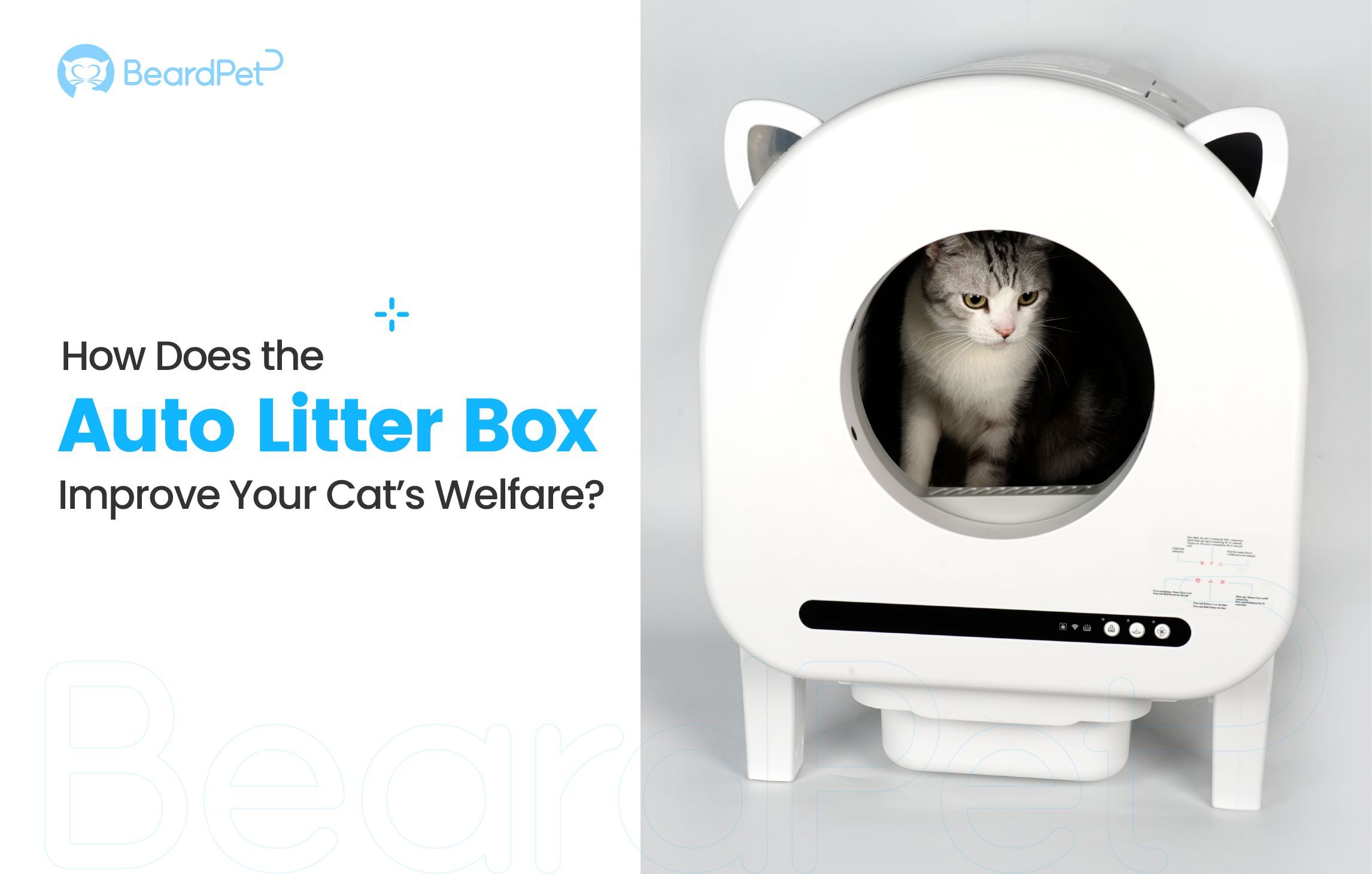 How Does the Auto Litter Box Improve Your Cat’s Welfare? - ODM&OEM ...