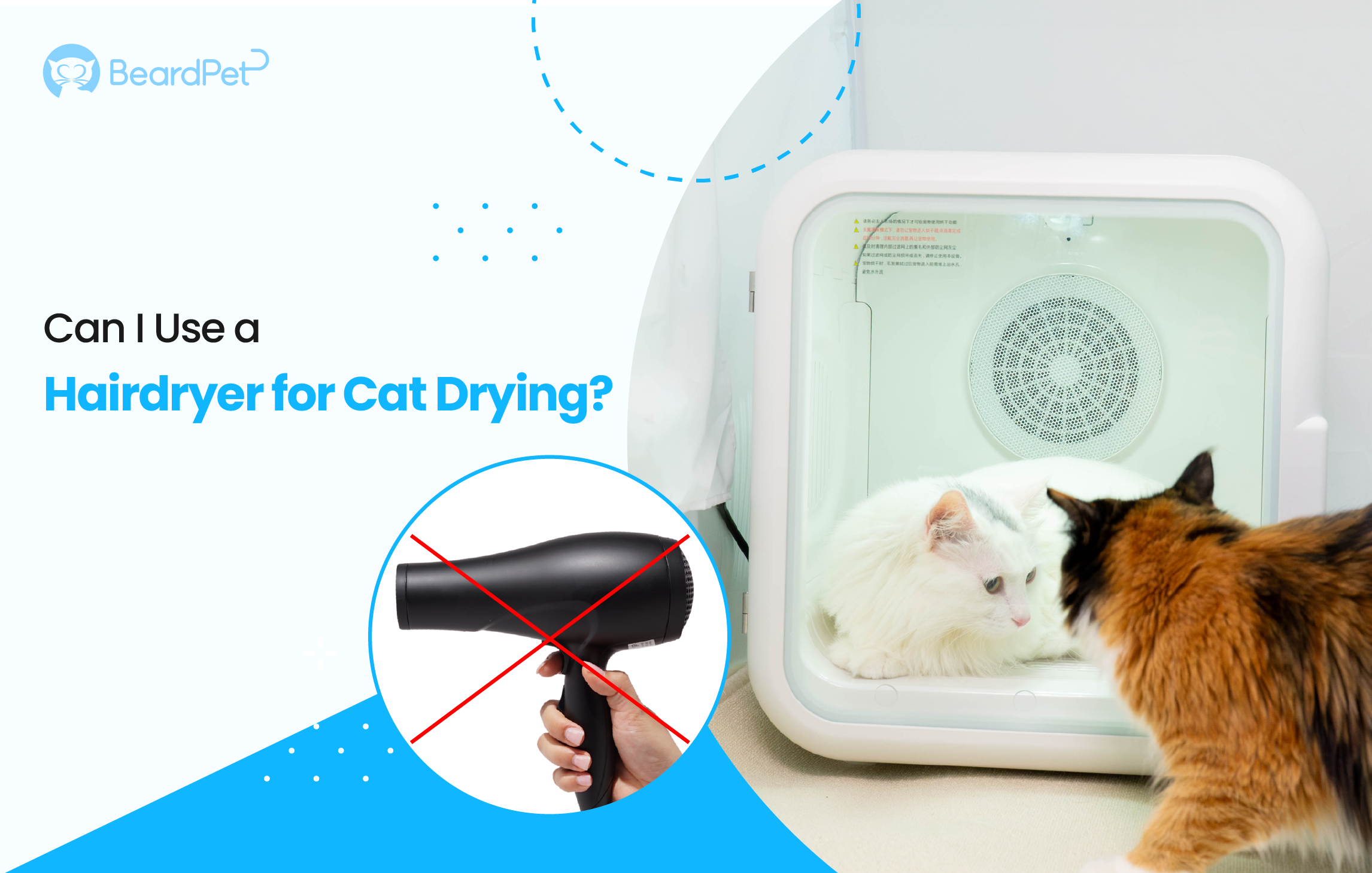 Can I Use a Regular Hairdryer for Cat Drying? - ODM&OEM Smart Pet ...