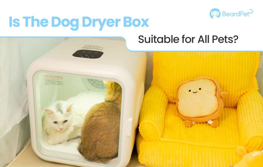 Is The Dog Dryer Box Suitable for All Pets? - ODM&OEM Smart Pet ...