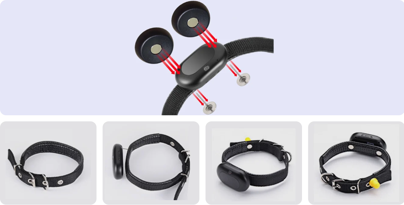 Pet Collar Tracker: Essential Tips for Installation and Maintenance ...